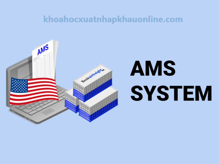 AMS Là Gì? Các Lưu Ý Khi Thực Hiện Khai Báo AMS