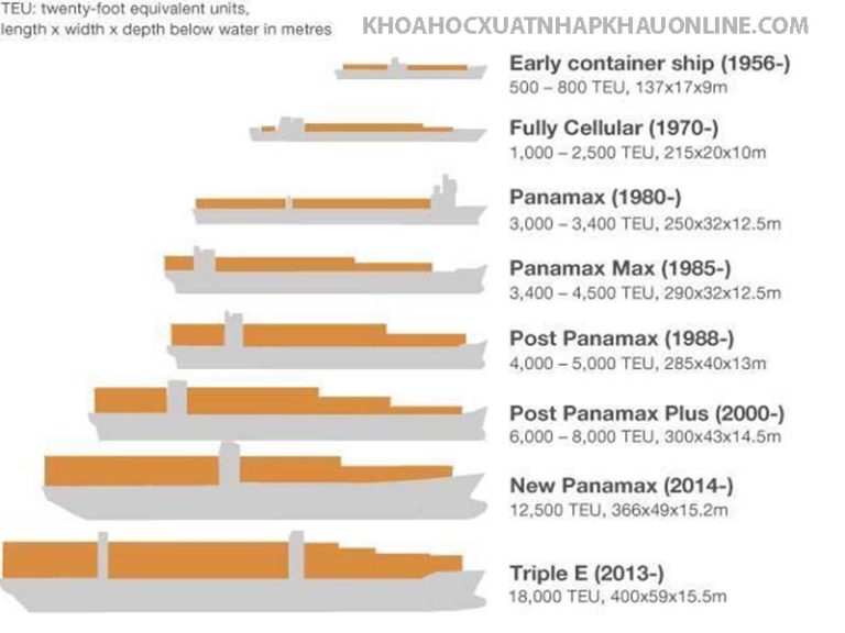 TEU Là Gì Trong Logistics? Tìm Hiểu Về Đơn Vị TEU